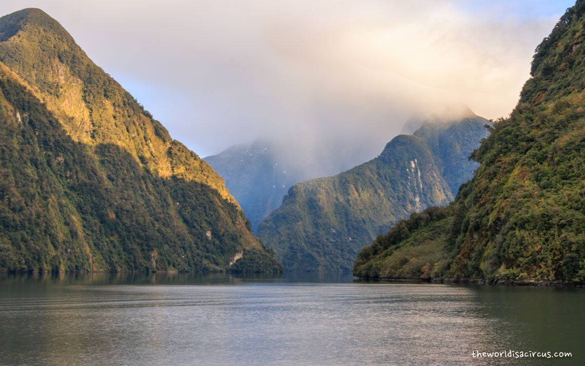 Doubtful Sound: a Photo Diary • The World is a Circus